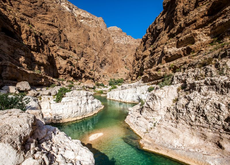 Exploring the Enchanting Oasis of Wadi Shab